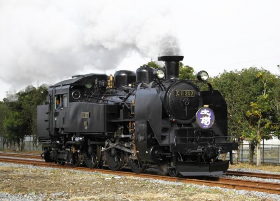ニュース画像(1/1): 「SL大樹」のC11形 | レイルラボ ニュース