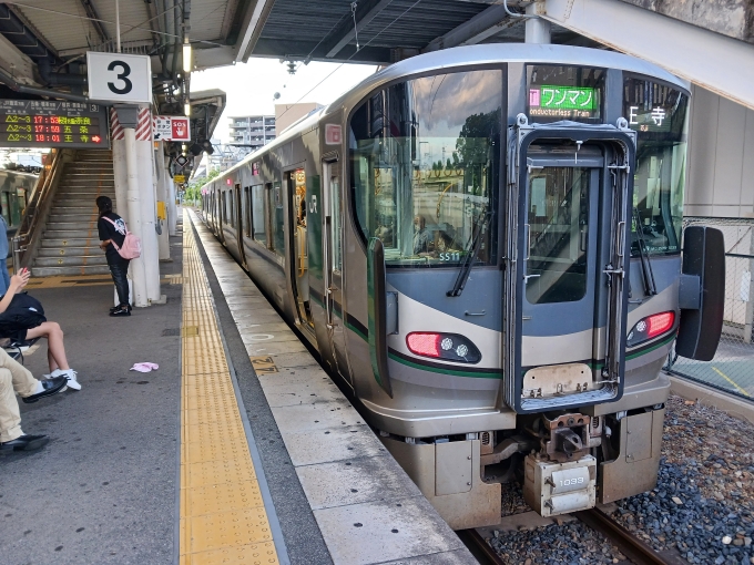 高田駅から志都美駅(2024年08月11日) 鉄道乗車記録(鉄レコ・乗りつぶし) by TANAKAIさん | レイルラボ(RailLab)