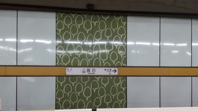 辰巳駅から新木場駅(2024年11月24日) 鉄道乗車記録(鉄レコ・乗りつぶし) by かぞさんさん | レイルラボ(RailLab)