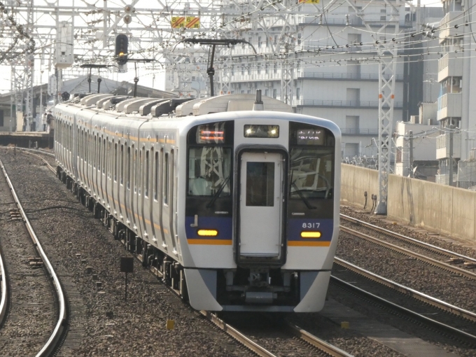 南海電鉄 南海8300系電車 8317 今宮戎駅 鉄道フォト・写真 by 関西を拠点に活動する鉄道好きさん | レイルラボ(RailLab)