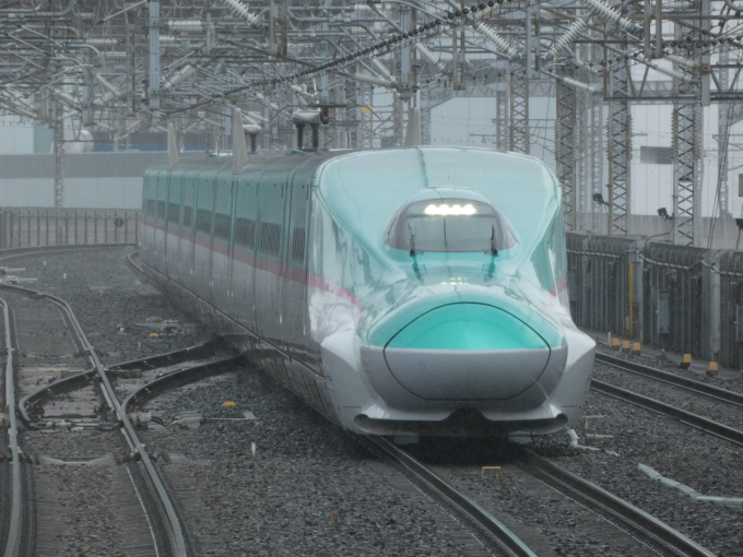JR東日本 E5系新幹線電車 はやぶさ E514-27 大宮駅 (埼玉県|JR) 鉄道フォト・写真 by 関西を拠点に活動する鉄道好きさん | レイルラボ(RailLab)