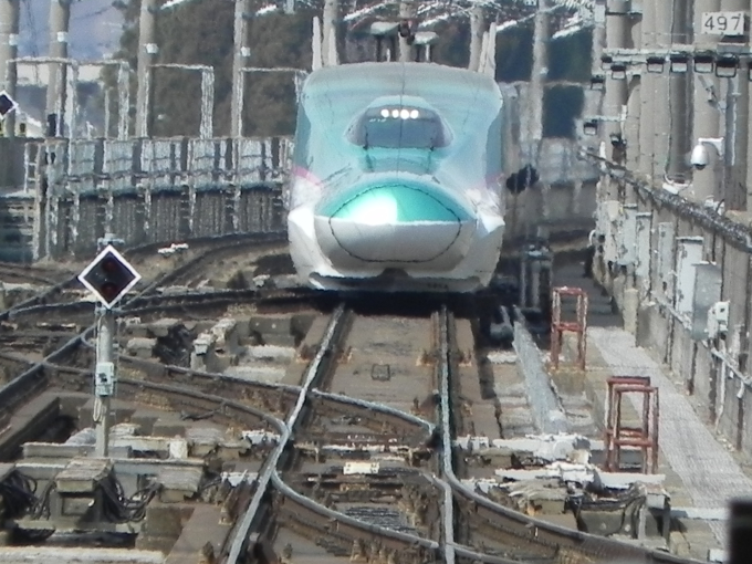 JR東日本 E5系新幹線電車 はやぶさ E523-12 盛岡駅 (JR) 鉄道フォト・写真 by そらさん | レイルラボ(RailLab)