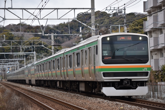 JR東日本E231系電車 クハE230-8081 逗子駅 鉄道フォト・写真 by 湘南特快さん | レイルラボ(RailLab)