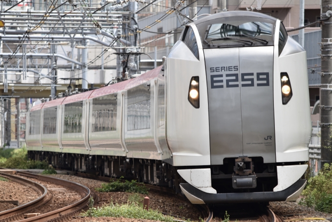 JR東日本E259系電車 成田エクスプレス クハE258-6 目黒駅 (JR) 鉄道フォト・写真 by 湘南特快さん | レイルラボ(RailLab)