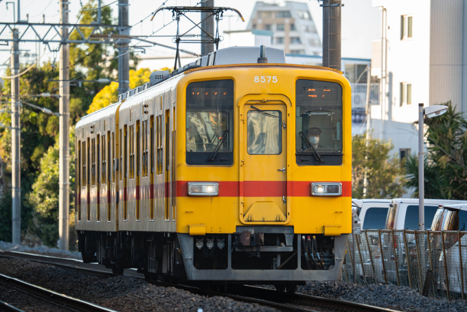 東武鉄道 東武8000系電車 8575 小村井駅 鉄道フォト・写真 by 膜依酱さん | レイルラボ(RailLab)