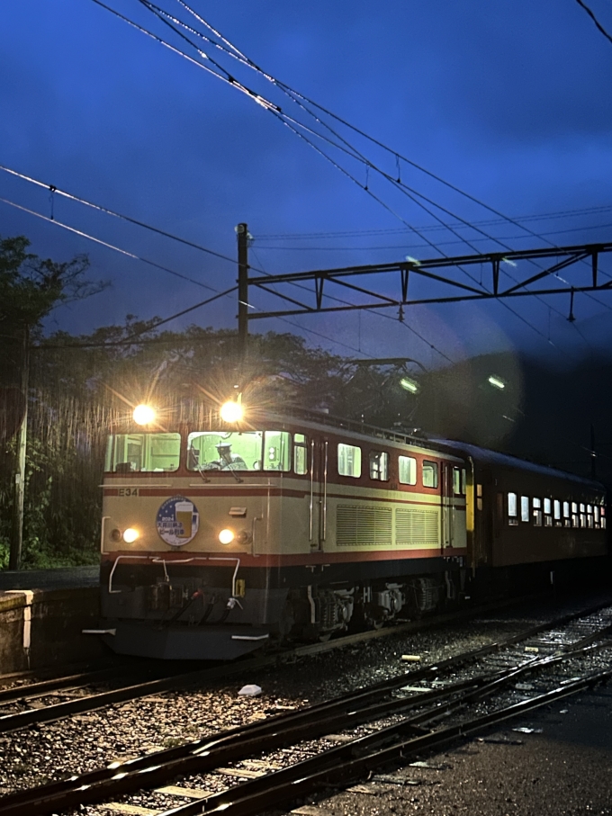 大井川鐵道 大井川鉄道E31形電気機関車 家山駅 鉄道フォト・写真 by イエジムさん | レイルラボ(RailLab)