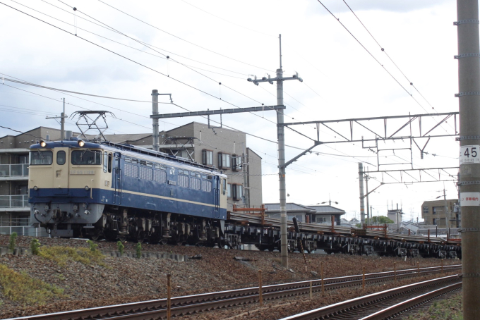JR西日本 国鉄EF65形電気機関車 EF65 1128 桂川駅 (京都府) 鉄道フォト・写真 by 阪急沿線の民さん | レイルラボ(RailLab)