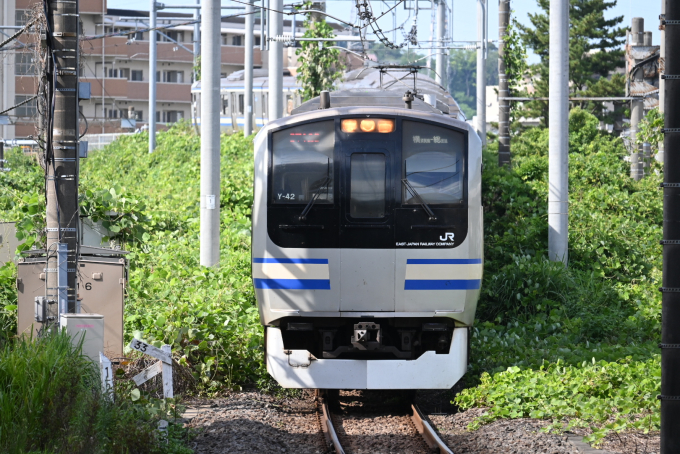 JR東日本E217系電車 クハE217-42 大船駅 (JR) 鉄道フォト・写真 by 無二似さん | レイルラボ(RailLab)