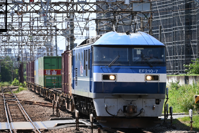 JR貨物EF210形電気機関車 EF210-7 浜川崎駅 鉄道フォト・写真 by 無二似さん | レイルラボ(RailLab)