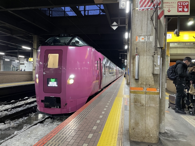 JR北海道キハ261系気動車 キハ261-5101 札幌駅 鉄道フォト・写真 by Okhotsk_283さん | レイルラボ(RailLab)