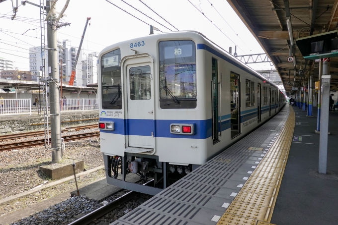 東武鉄道 東武8000系電車 8463 春日部駅 鉄道フォト・写真 by BBsanさん | レイルラボ(RailLab)