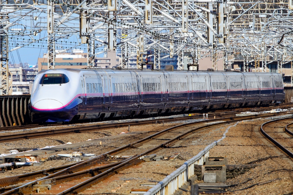 JR東日本 E2系新幹線電車 E223-1008 大宮駅 (埼玉県|JR) 鉄道フォト・写真(拡大) by BBsanさん | レイルラボ(RailLab)