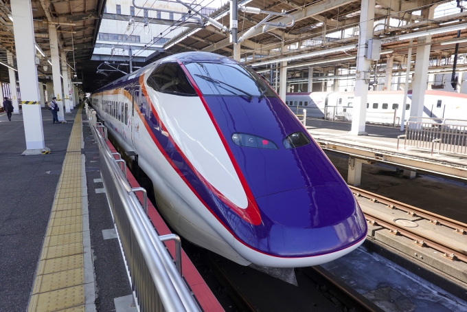 JR東日本 E3系新幹線電車 E322-2006 大宮駅 (埼玉県|JR) 鉄道フォト・写真 by BBsanさん | レイルラボ(RailLab)