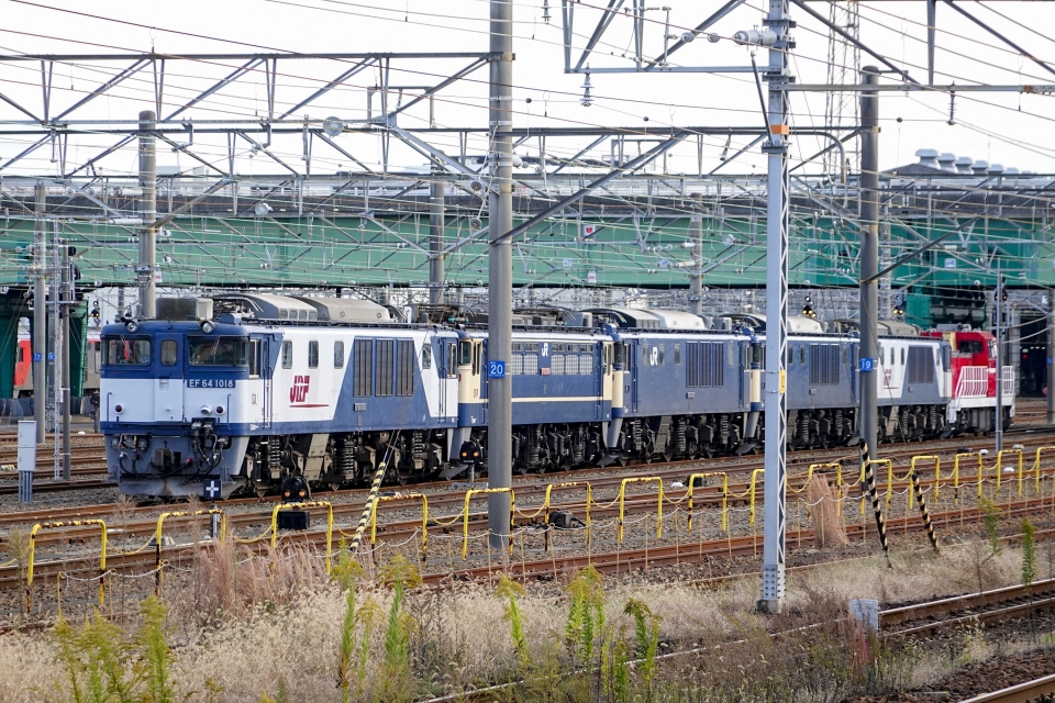 JR貨物 国鉄EF64形電気機関車 EF64-1018 稲沢駅 鉄道フォト・写真(拡大) by BBsanさん | レイルラボ(RailLab)