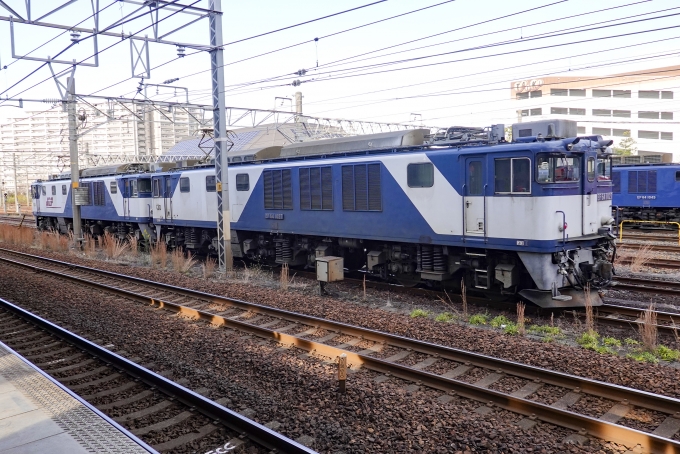 JR貨物 国鉄EF64形電気機関車 EF64-1027 稲沢駅 鉄道フォト・写真 by BBsanさん | レイルラボ(RailLab)