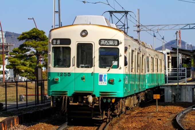 高松琴平電気鉄道1200形電車 1255 高松築港駅 鉄道フォト・写真 by BBsanさん | レイルラボ(RailLab)