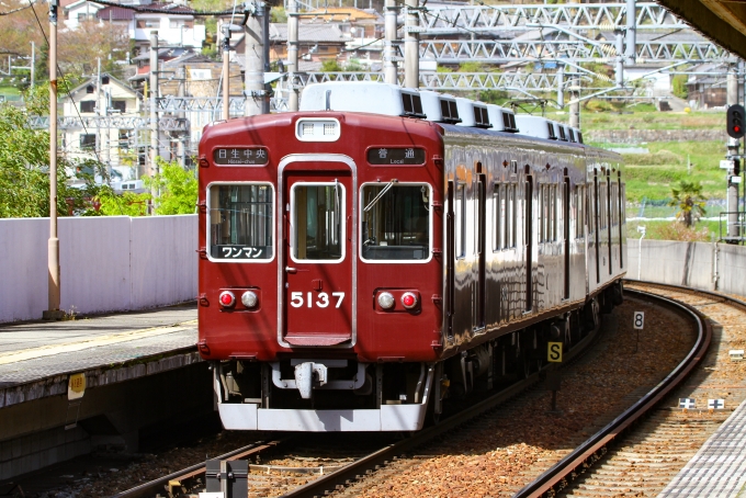 能勢電鉄5100系電車 5137 山下駅 (兵庫県) 鉄道フォト・写真 by BBsanさん | レイルラボ(RailLab)