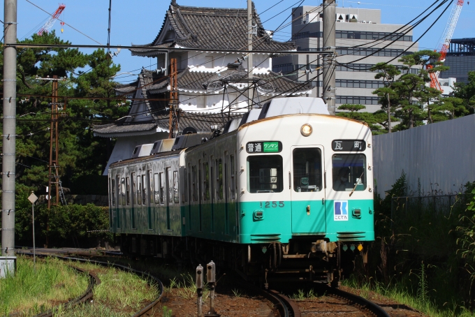 高松琴平電気鉄道1200形電車 1255 高松築港駅 鉄道フォト・写真 by BBsanさん | レイルラボ(RailLab)