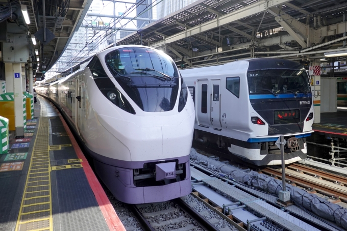 JR東日本E657系電車 ときわ クハE656-14 東京駅 (JR) 鉄道フォト・写真 by BBsanさん | レイルラボ(RailLab)