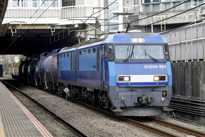 JR貨物EH200形電気機関車 EH200-901 府中本町駅 鉄道フォト・写真 by BBsanさん | レイルラボ(RailLab)