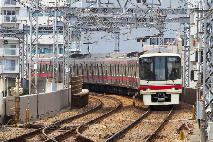 京王電鉄 京王8000系電車 8733 府中駅 (東京都) 鉄道フォト・写真 by BBsanさん | レイルラボ(RailLab)