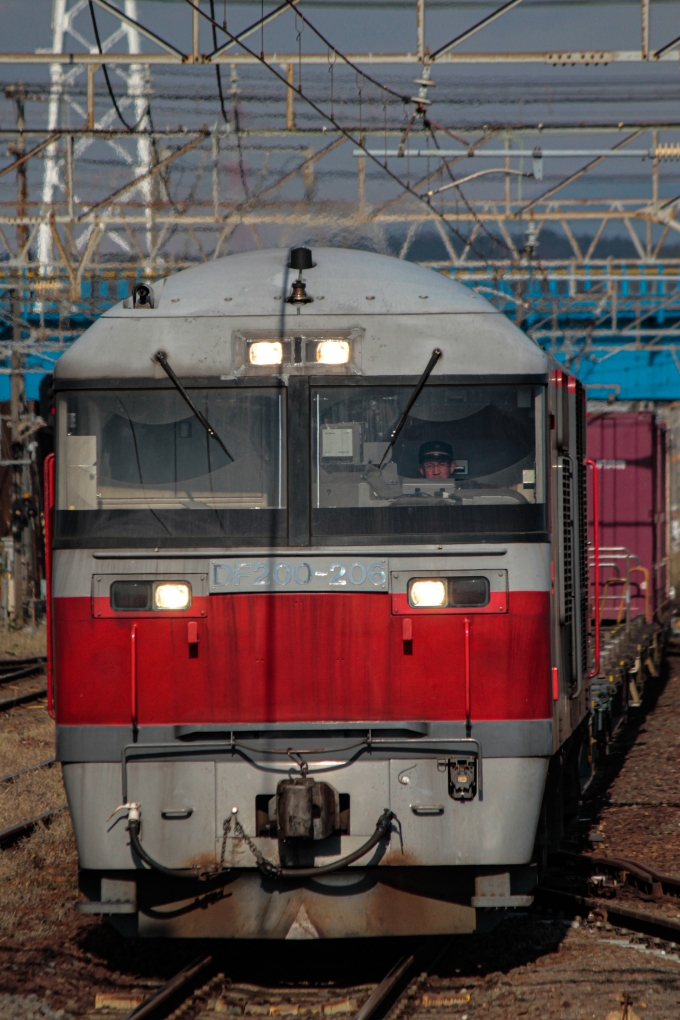 JR貨物 DF200形ディーゼル機関車 DF200-206 富田駅 (三重県) 鉄道フォト・写真 by よ っ か い ちさん | レイルラボ ...