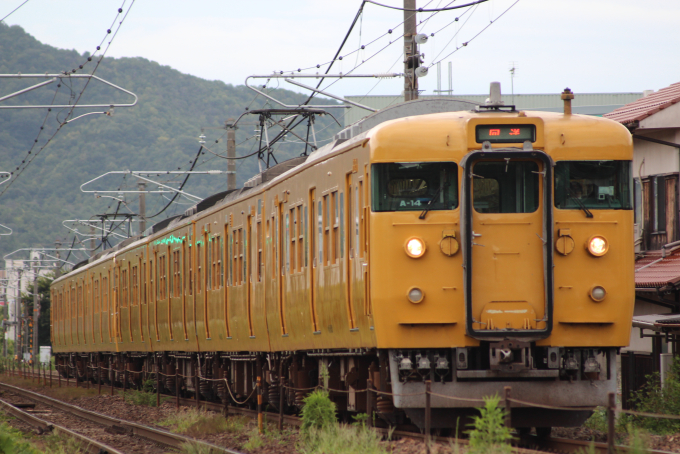 JR西日本 国鉄115系電車 八本松駅 鉄道フォト・写真 by やすのさん | レイルラボ(RailLab)