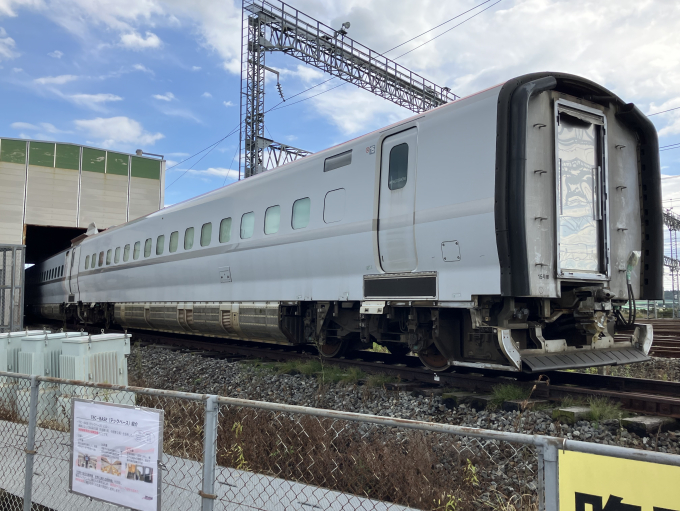 JR東日本 E6系新幹線電車 こまち 仙台駅 (JR) 鉄道フォト・写真 by shati_285@RailLabさん | レイルラボ(RailLab)