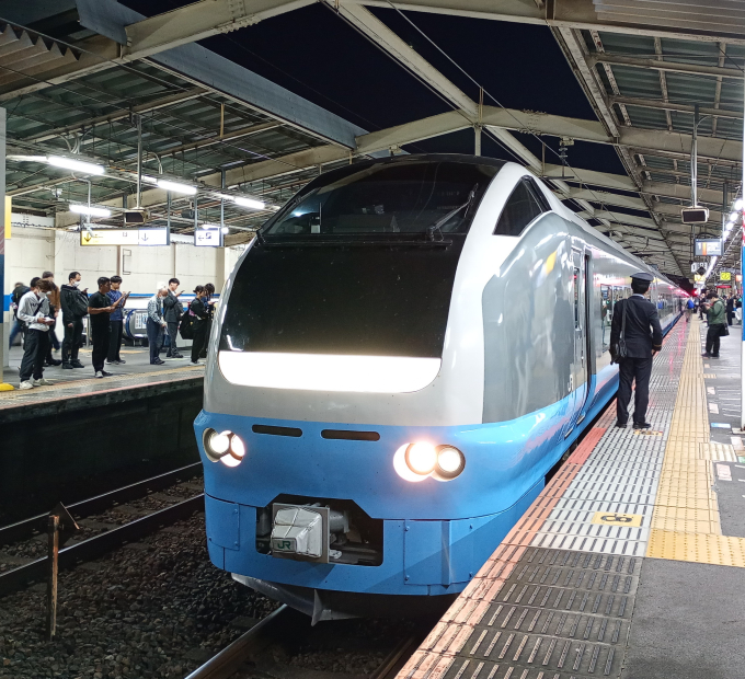 JR東日本E653系電車 海浜公園コキア川越 クハE653-1002 南越谷駅 鉄道フォト・写真 by 東武線利用民さん | レイルラボ(RailLab)