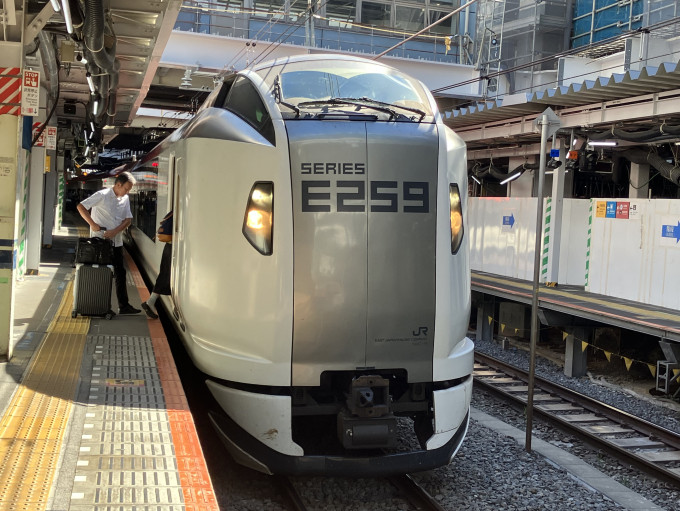 JR東日本E259系電車 成田エクスプレス クハE258-19 品川駅 (JR) 鉄道フォト・写真 by JR東ずきの関東民さん | レイルラボ(RailLab)