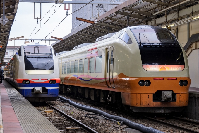 JR東日本E653系電車 いなほ 新潟駅 鉄道フォト・写真 by えこださん | レイルラボ(RailLab)