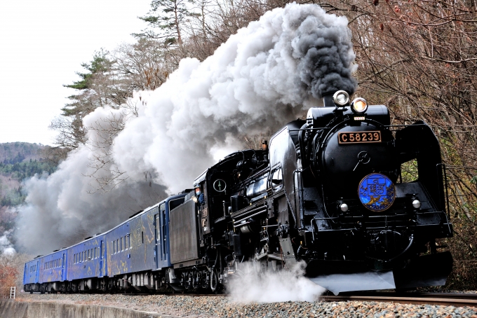JR東日本 国鉄C58形蒸気機関車 SL銀河 岩根橋駅 鉄道フォト・写真 by お殿様さん | レイルラボ(RailLab)