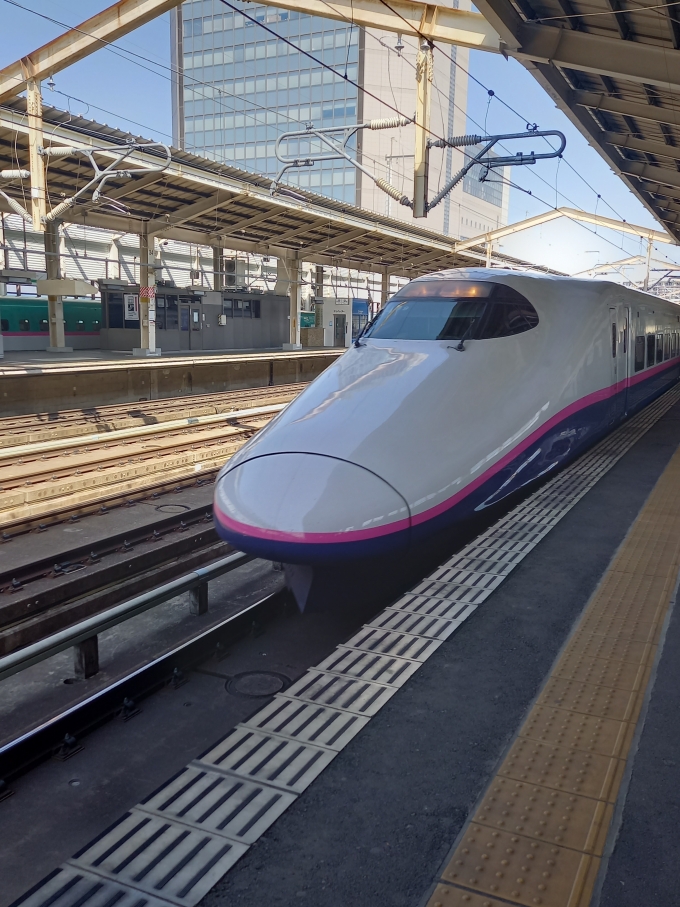 JR東日本 E2系新幹線電車 やまびこ クハE216 郡山駅 (福島県) 鉄道フォト・写真 by Souyaさん | レイルラボ(RailLab)