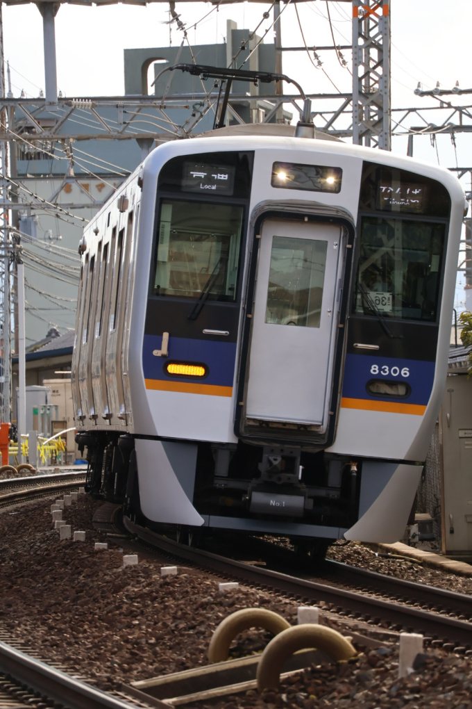 南海電鉄 南海8300系電車 8306 二色浜駅 鉄道フォト・写真 by shingouki0000さん | レイルラボ(RailLab)