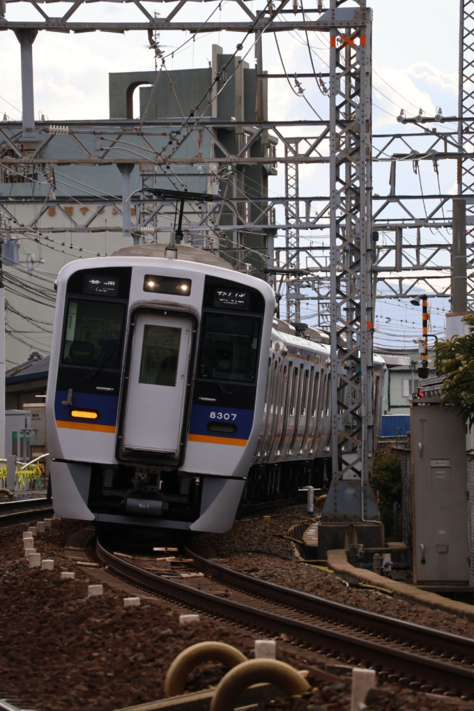 南海電鉄 南海8300系電車 8307 二色浜駅 鉄道フォト・写真 by shingouki0000さん | レイルラボ(RailLab)
