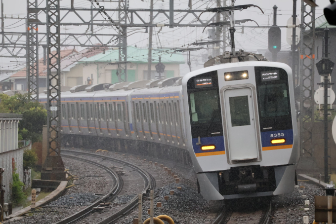 南海電鉄 南海8300系電車 8355 二色浜駅 鉄道フォト・写真 by shingouki0000さん | レイルラボ(RailLab)