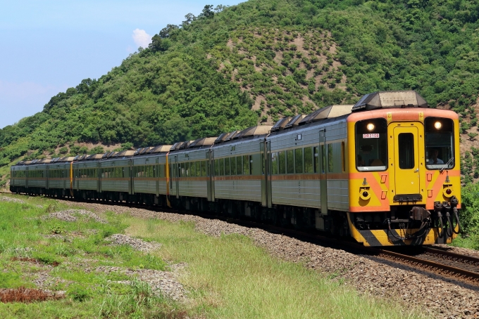 臺灣鉄路管理局 DR3100型 自強 45DR3108 内獅駅 鉄道フォト・写真 by イーヌイさん | レイルラボ(RailLab)