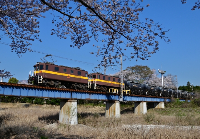 三岐鉄道三岐線 ED5000 大安ー三里 鉄道フォト・写真 by m433さん | レイルラボ(RailLab)