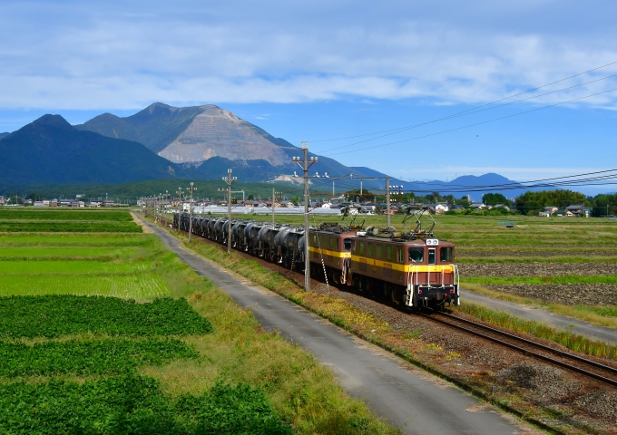 三岐鉄道三岐線 ED5000 丹生川ー三里 鉄道フォト・写真 by m433さん | レイルラボ(RailLab)