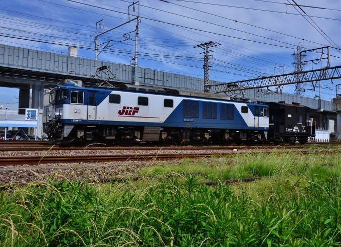 JR貨物 国鉄EF64形電気機関車 EF64-1015 笠寺駅 鉄道フォト・写真 by m433さん | レイルラボ(RailLab)