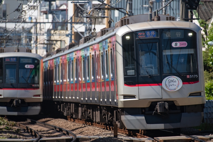 東急電鉄 東急5000系電車 5175 自由が丘駅 (東京都) 鉄道フォト・写真 by Tomo-Papaさん | レイルラボ(RailLab)