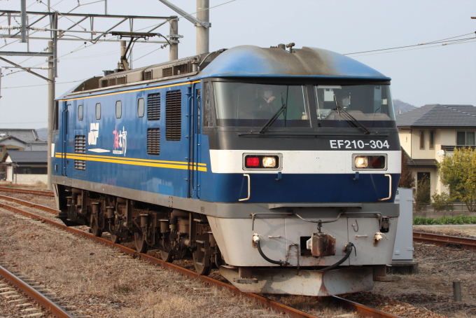 JR貨物EF210形電気機関車 EF210-304 琴平駅 鉄道フォト・写真 by すらんとのーずさん | レイルラボ(RailLab)