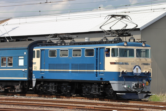 大井川鐵道 大井川鉄道E31形電気機関車 E34 新金谷駅 鉄道フォト・写真 by すらんとのーずさん | レイルラボ(RailLab)