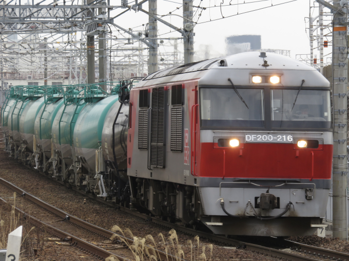 JR貨物 DF200形ディーゼル機関車 DF200-216 枇杷島駅 (JR) 鉄道フォト・写真 by 急行おくみのさん | レイルラボ ...