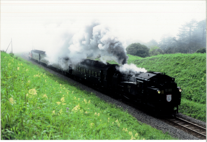 JR北海道 国鉄C11形蒸気機関車 SL根室号 C11 207 落石駅 鉄道フォト・写真 by 二ヶ領用水の桜さん | レイルラボ(RailLab)