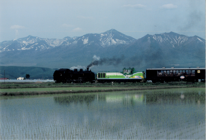 JR北海道 国鉄C11形蒸気機関車 SL富良野・美瑛ノロッコ号 C11 171 西中駅 鉄道フォト・写真 by 二ヶ領用水の桜さん | レイル ...