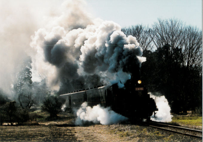 真岡鐵道 国鉄C12形蒸気機関車 SLもおか C12 66 多田羅駅 鉄道フォト・写真 by 二ヶ領用水の桜さん | レイルラボ(RailLab)