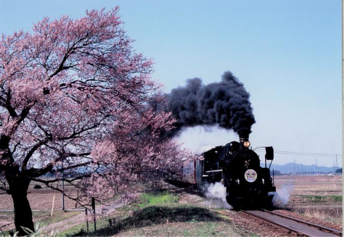 JR東日本 国鉄C57形蒸気機関車 SLばんえつ物語 C57 180 馬下駅 鉄道フォト・写真 by 二ヶ領用水の桜さん | レイルラボ ...