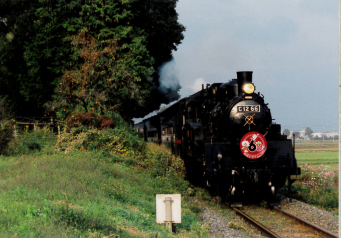 真岡鐵道 国鉄C12形蒸気機関車 SLもおか C12 66 真岡駅 鉄道フォト・写真 by 二ヶ領用水の桜さん | レイルラボ(RailLab)