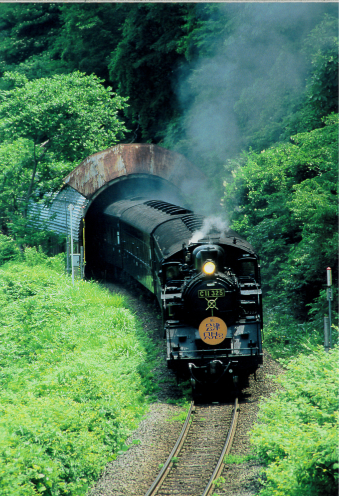 真岡鐵道 国鉄C11形蒸気機関車 SL会津只見号 C11 325 郷戸駅 鉄道フォト・写真 by 二ヶ領用水の桜さん | レイルラボ(RailLab)